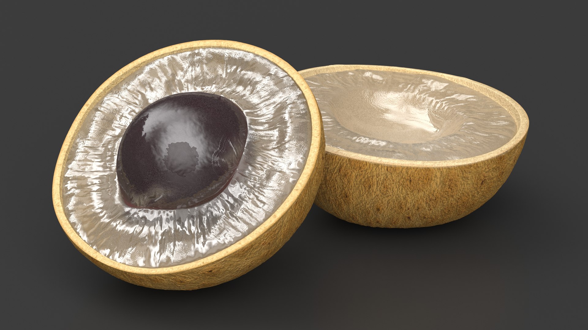 Realistic Half Cut Longan Fruit 3D - TurboSquid 2202823