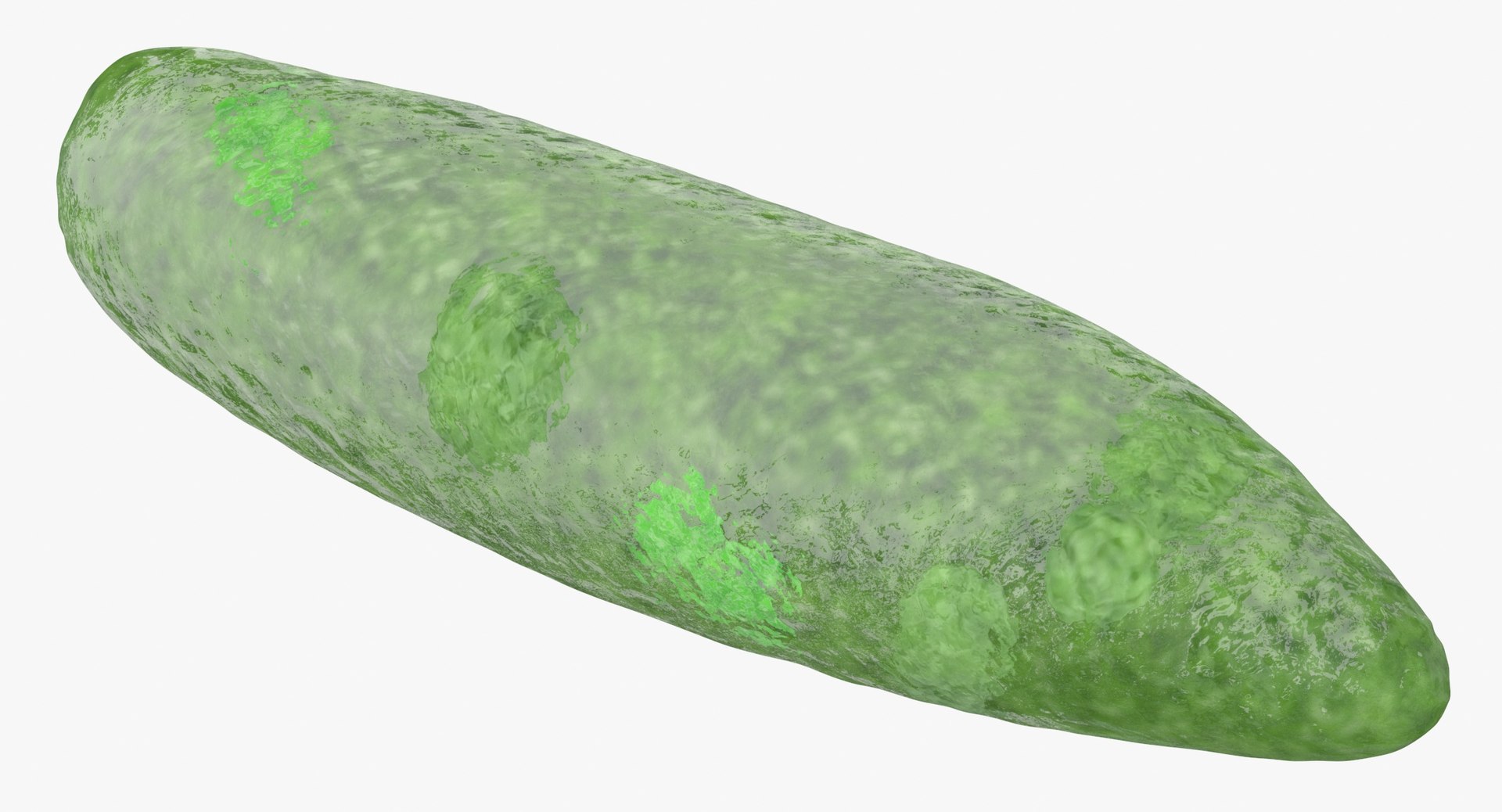 3D Protista - TurboSquid 1925408