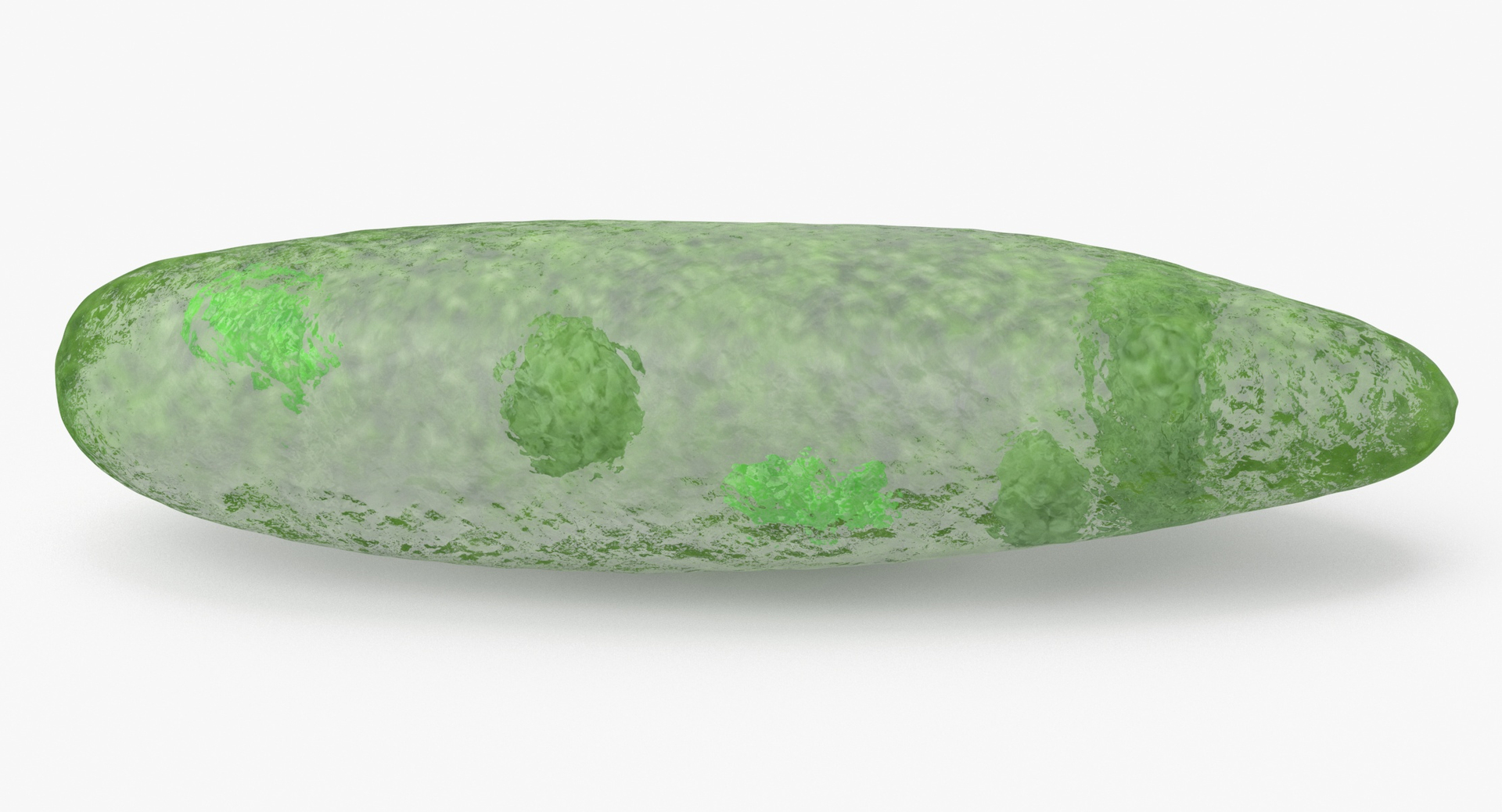 3D Protista - TurboSquid 1925408