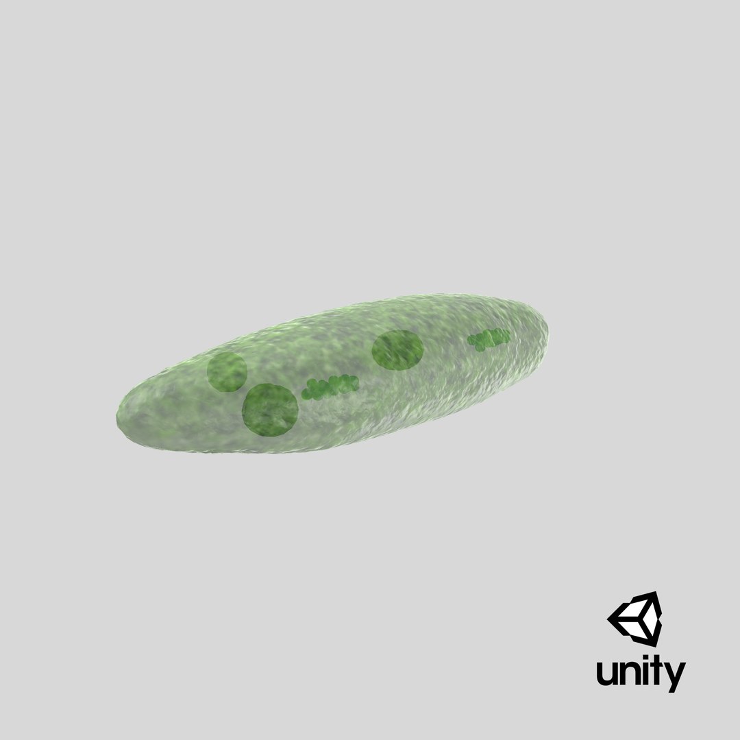 3D Protista - TurboSquid 1925408