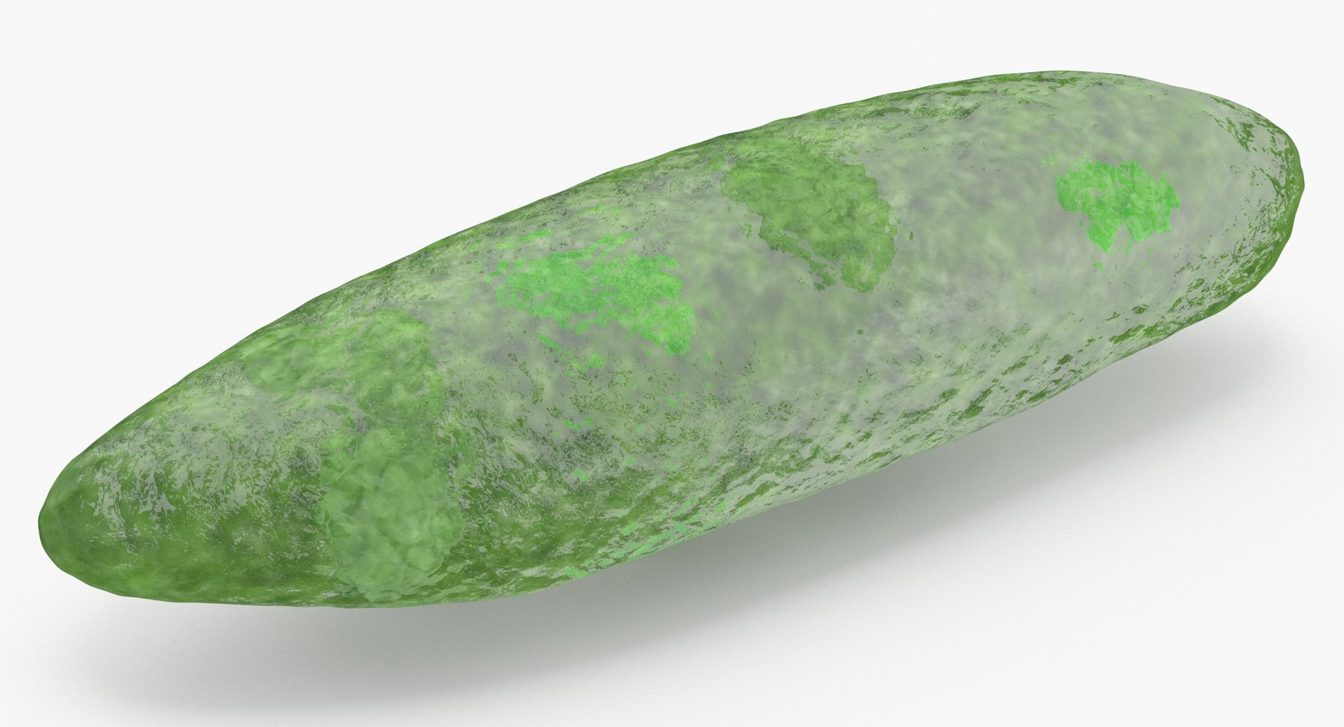 3D Protista - TurboSquid 1925408