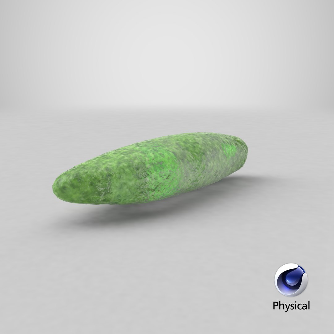 3D Protista - TurboSquid 1925408