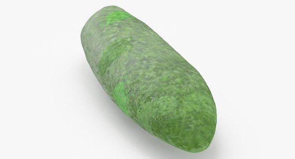 modelo 3d Protista - TurboSquid 1925408