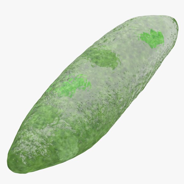 modelo 3d Protista - TurboSquid 1925408