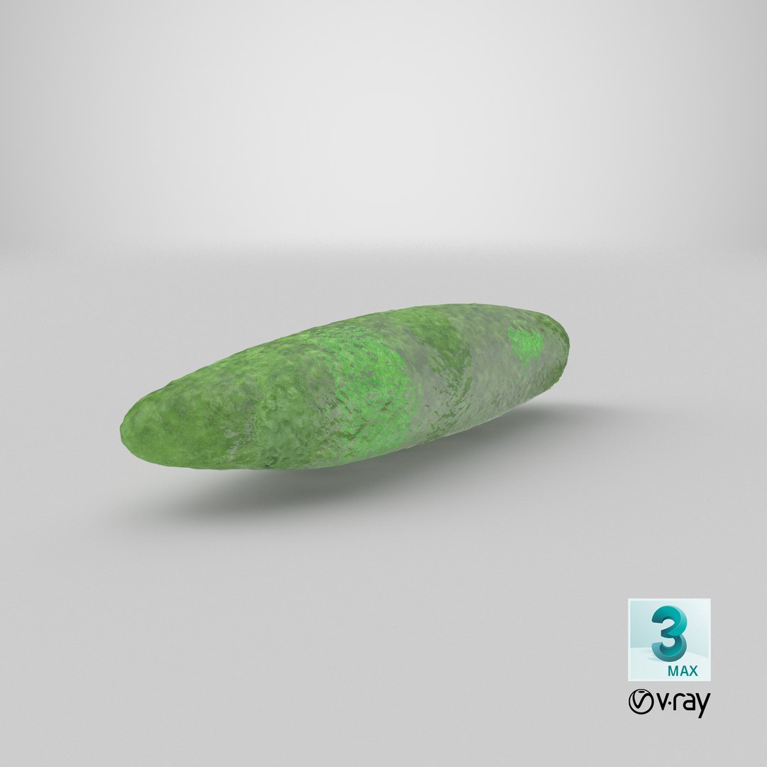 3D Protista - TurboSquid 1925408