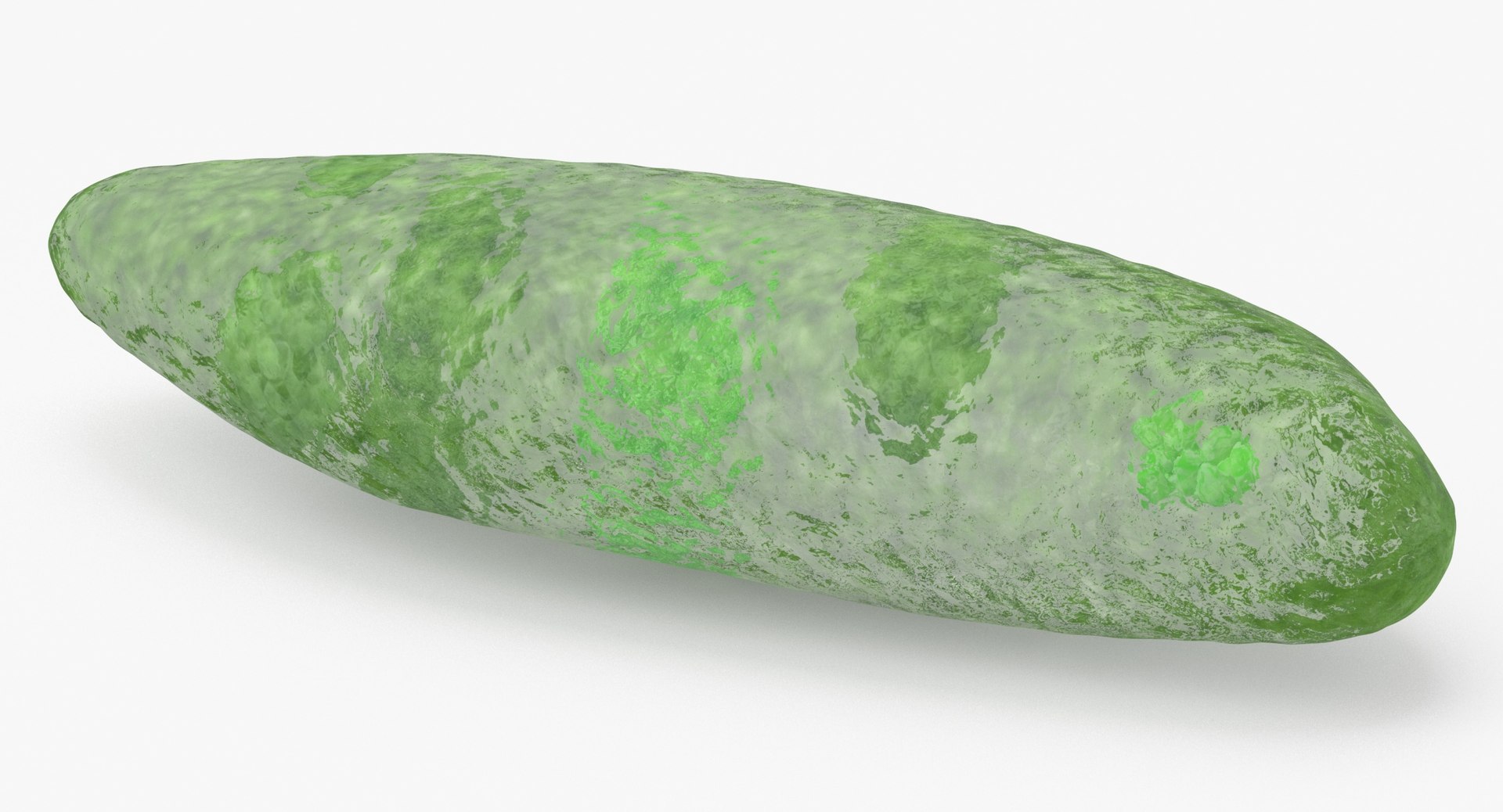 3D Protista - TurboSquid 1925408