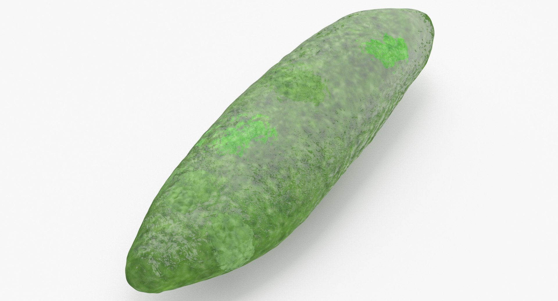3D Protista - TurboSquid 1925408