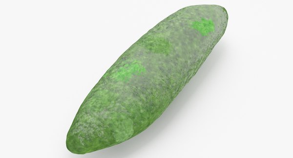 modelo 3d Protista - TurboSquid 1925408