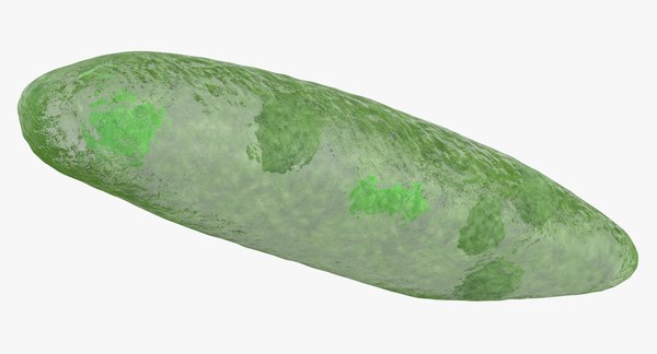 modelo 3d Protista - TurboSquid 1925408