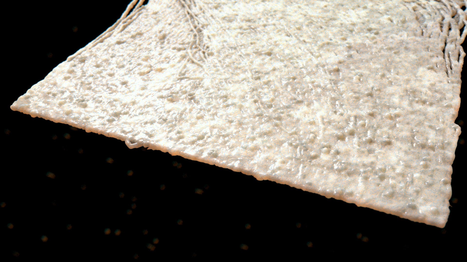 3d C4d Organic Fibrous Tissue Structure