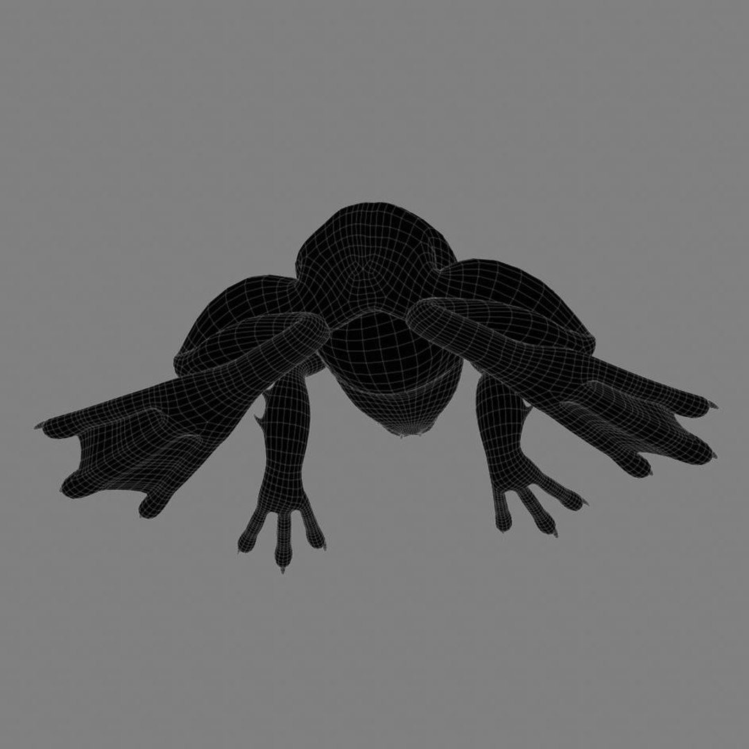 Maya Stylized Frog