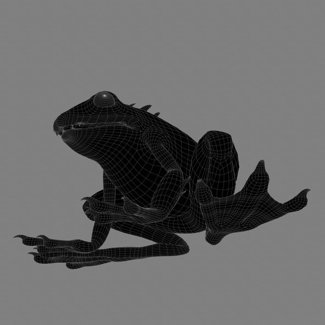 Maya Stylized Frog