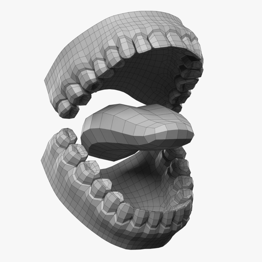 modelo 3d Realistic Low Poly Human Jaws and Tongue - TurboSquid 2014866
