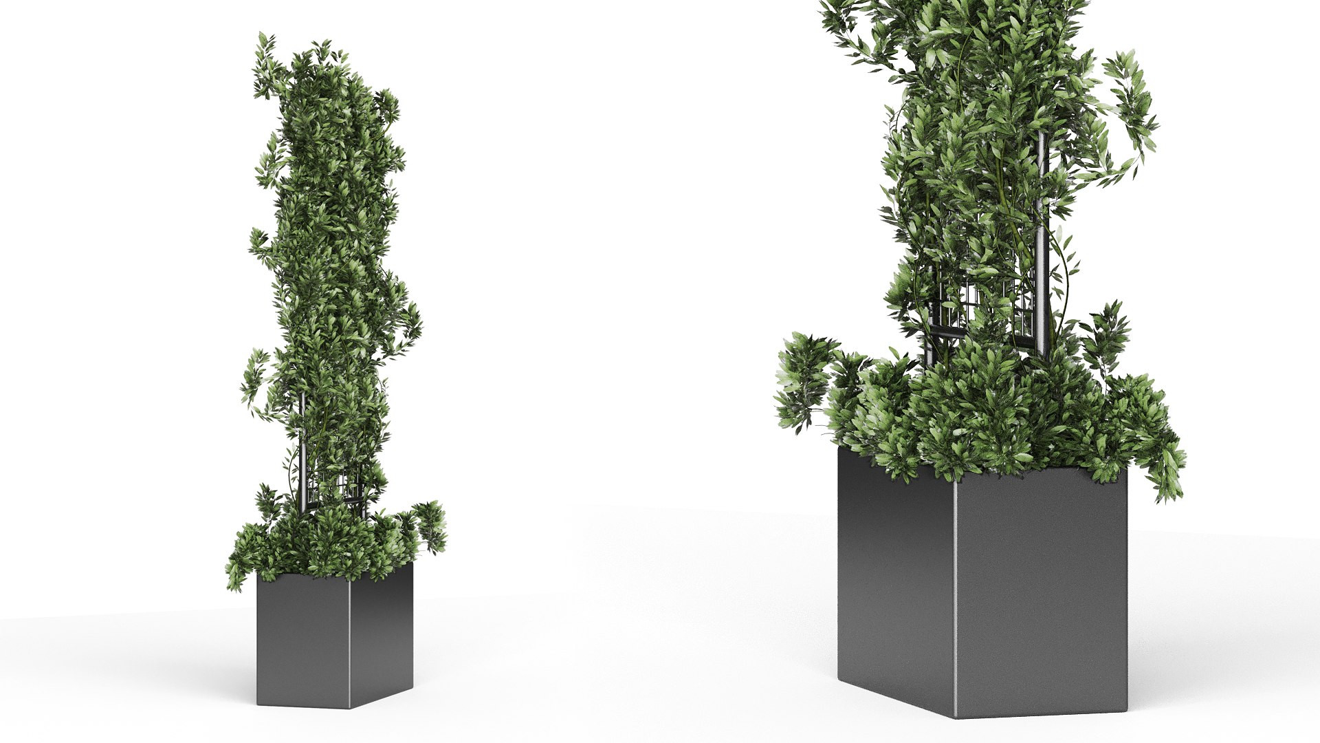 Botanical Planter 2 3D - TurboSquid 2285876