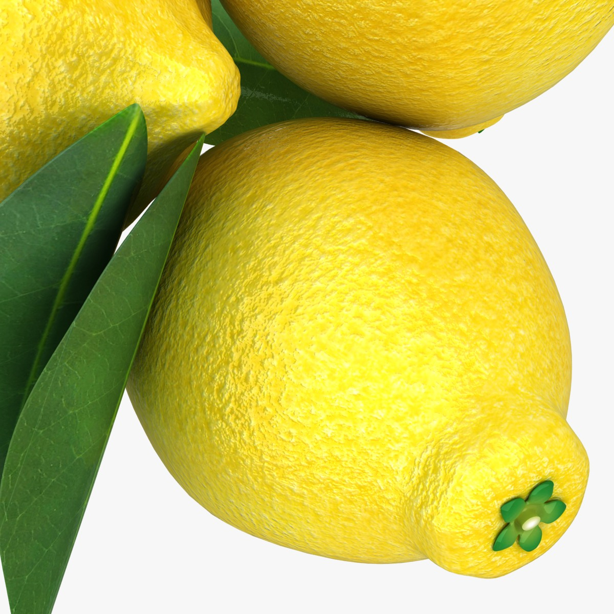 realistic lemon 3ds