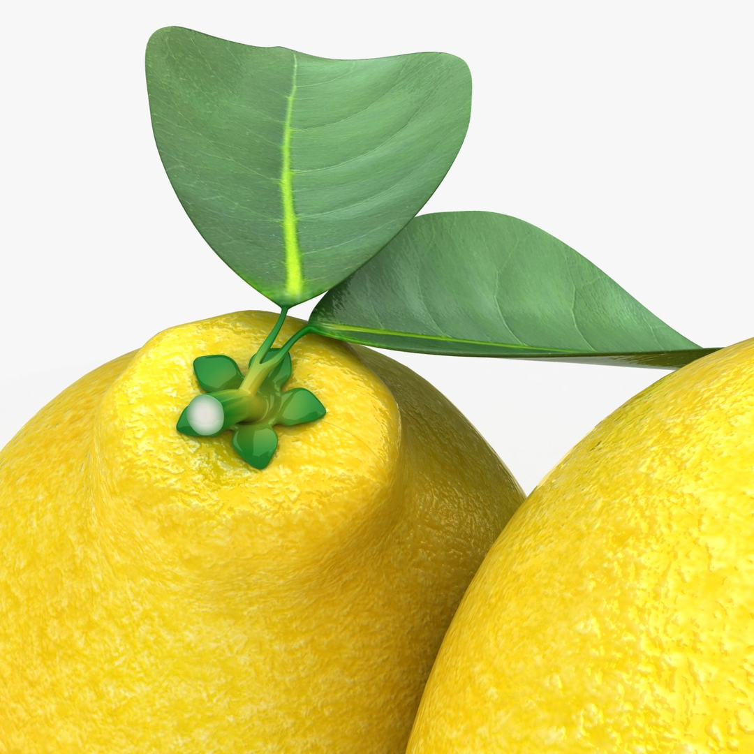 realistic lemon 3ds