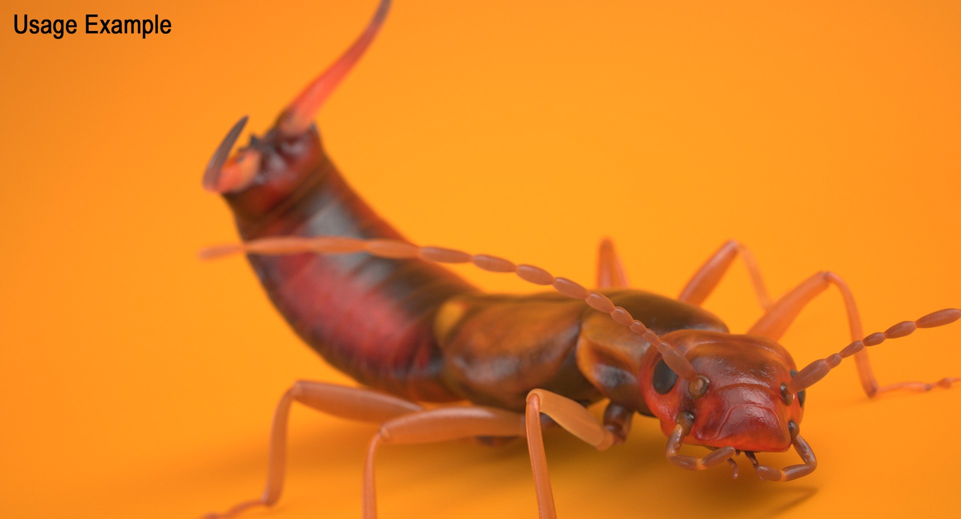 3D Earwig Rigged Model - TurboSquid 1375534