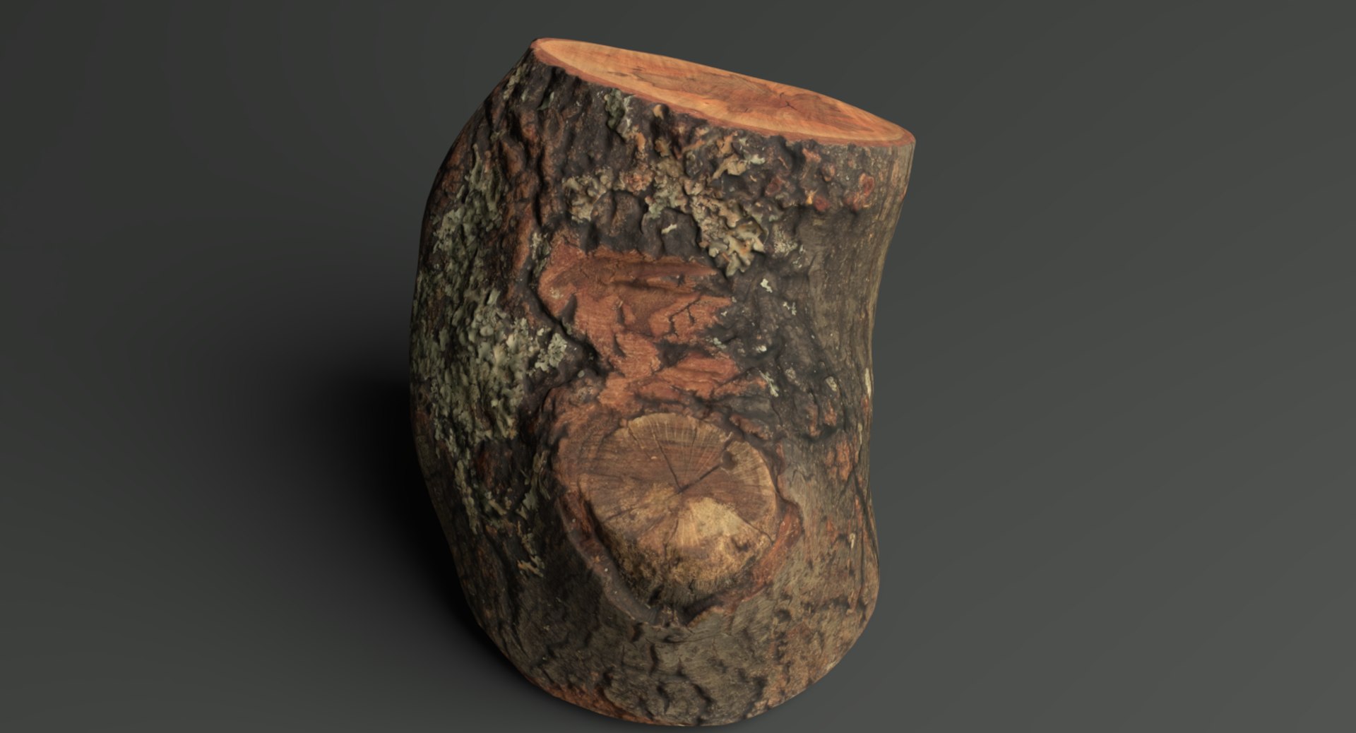 3D Tree Stump - TurboSquid 1251208