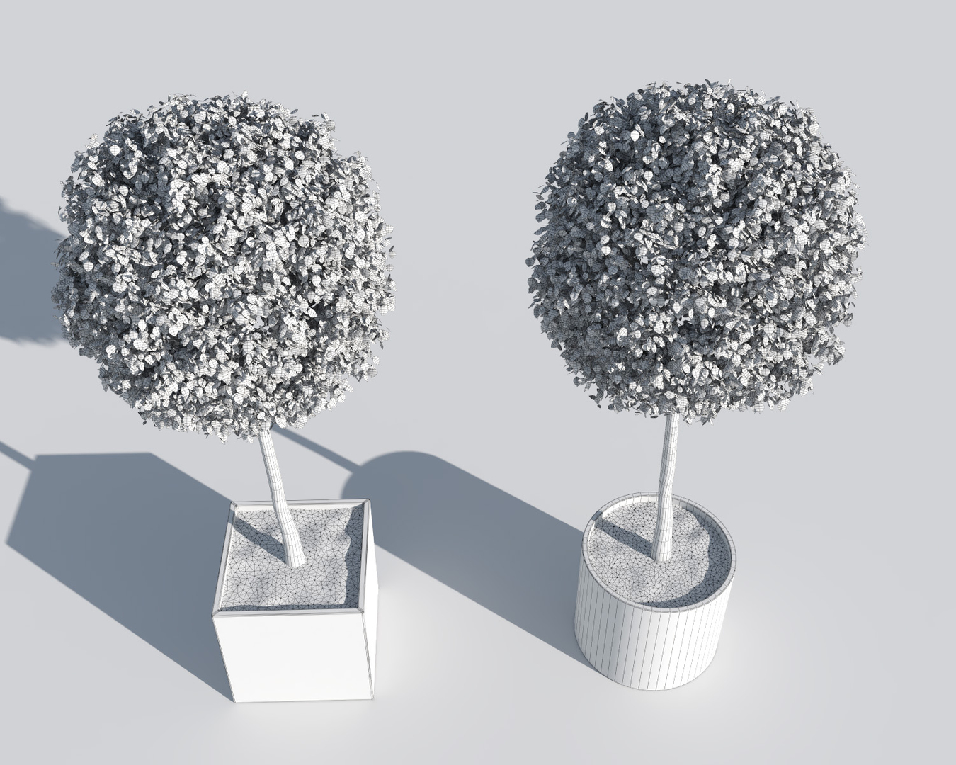 3d outdoor plants boxwood trees model