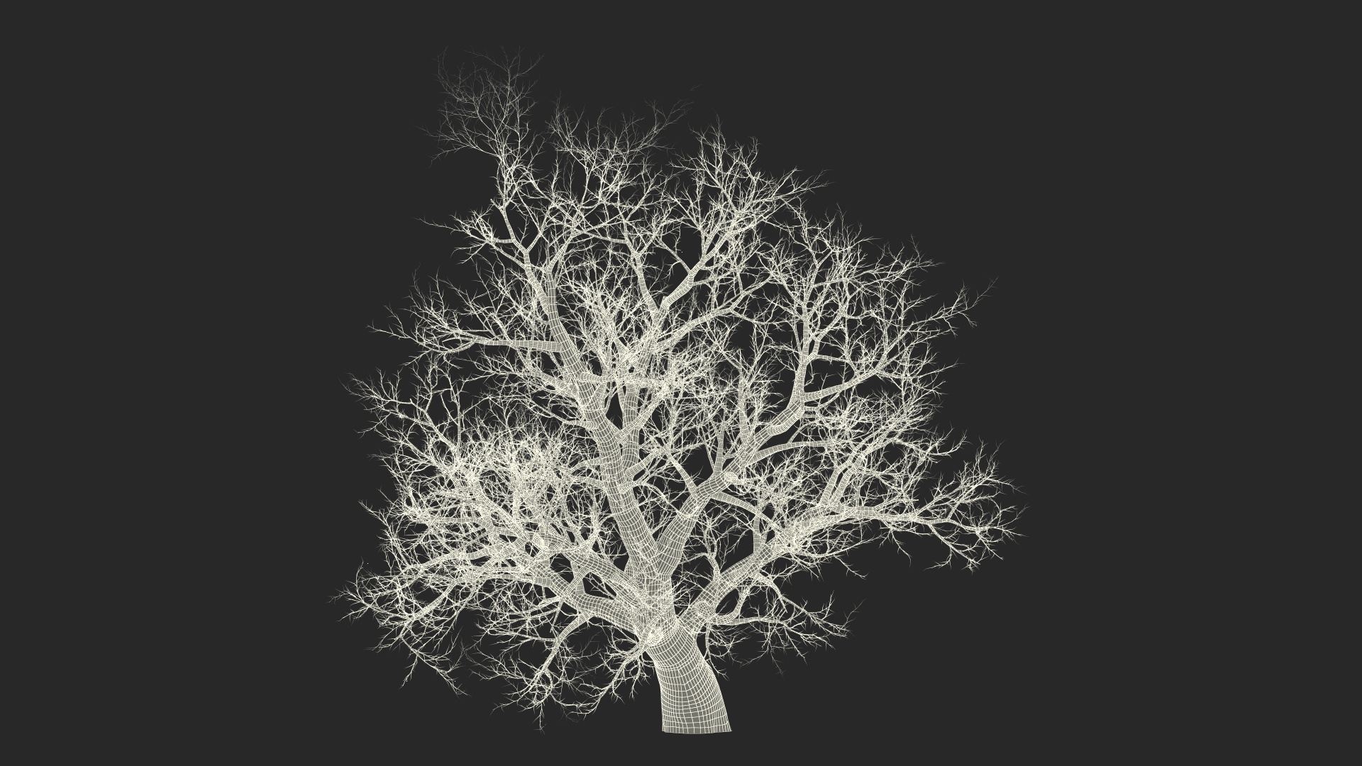 Leafless Maple Tree 3D Model - TurboSquid 2232877