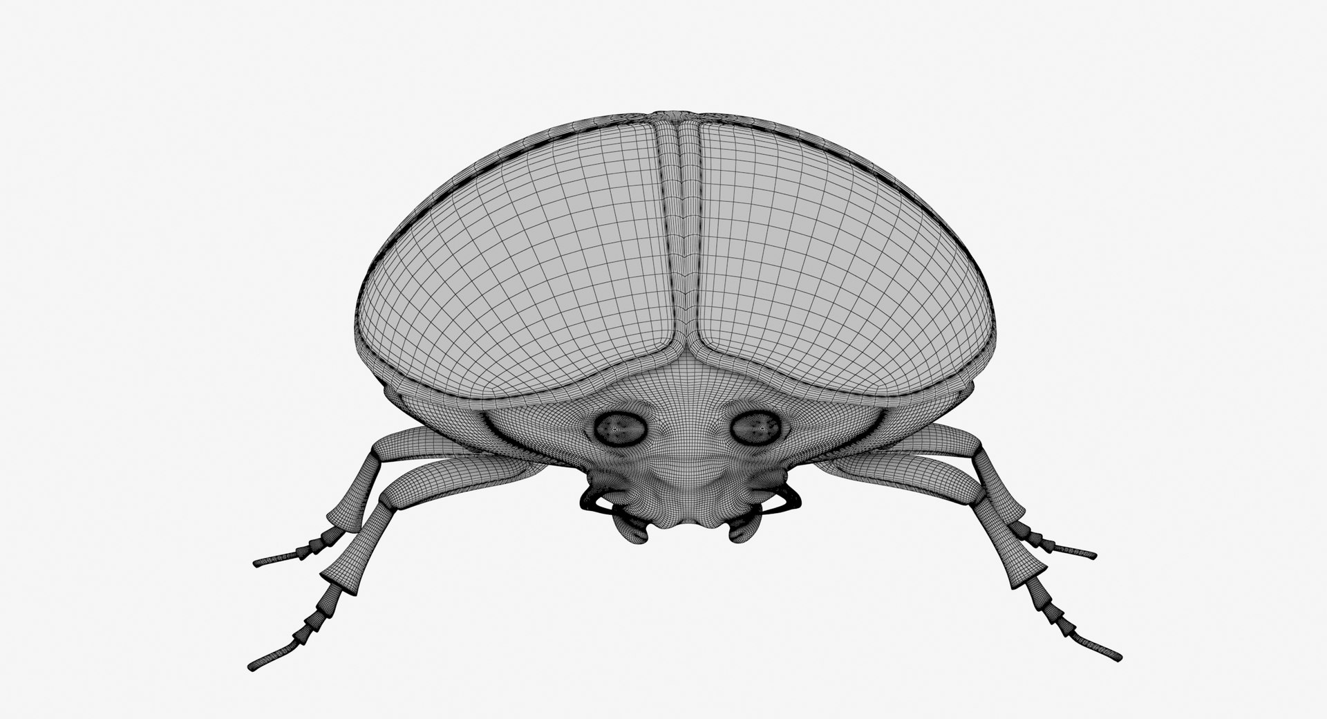 Gold Scarab 3D Model - TurboSquid 1489238