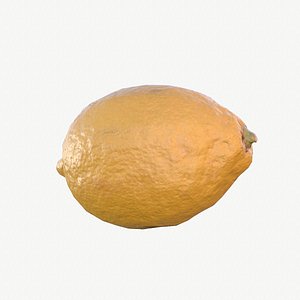 Lemon Blender Models for Download | TurboSquid