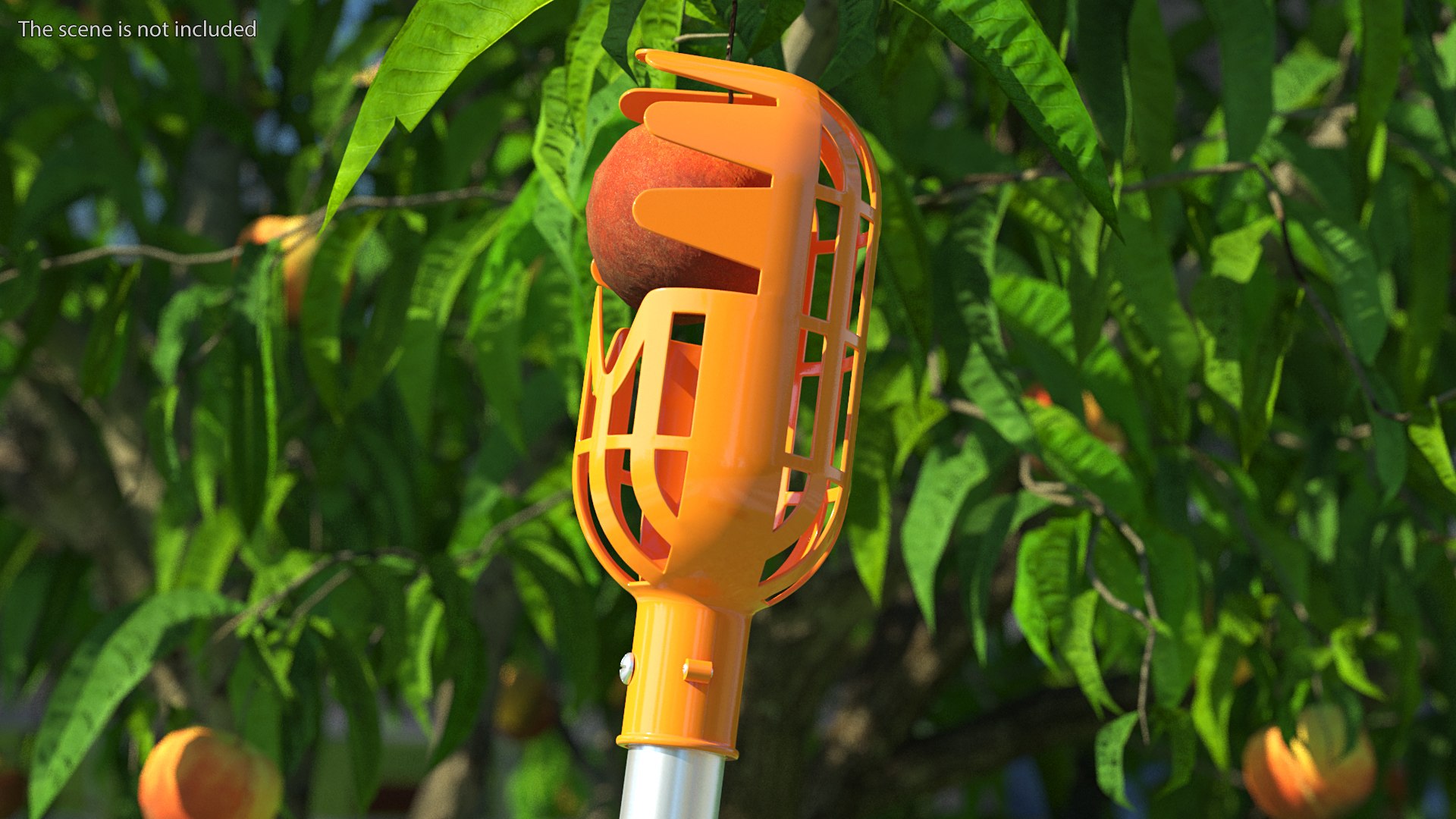 Fruit Picker Tools Collection 3D Model - TurboSquid 2194949