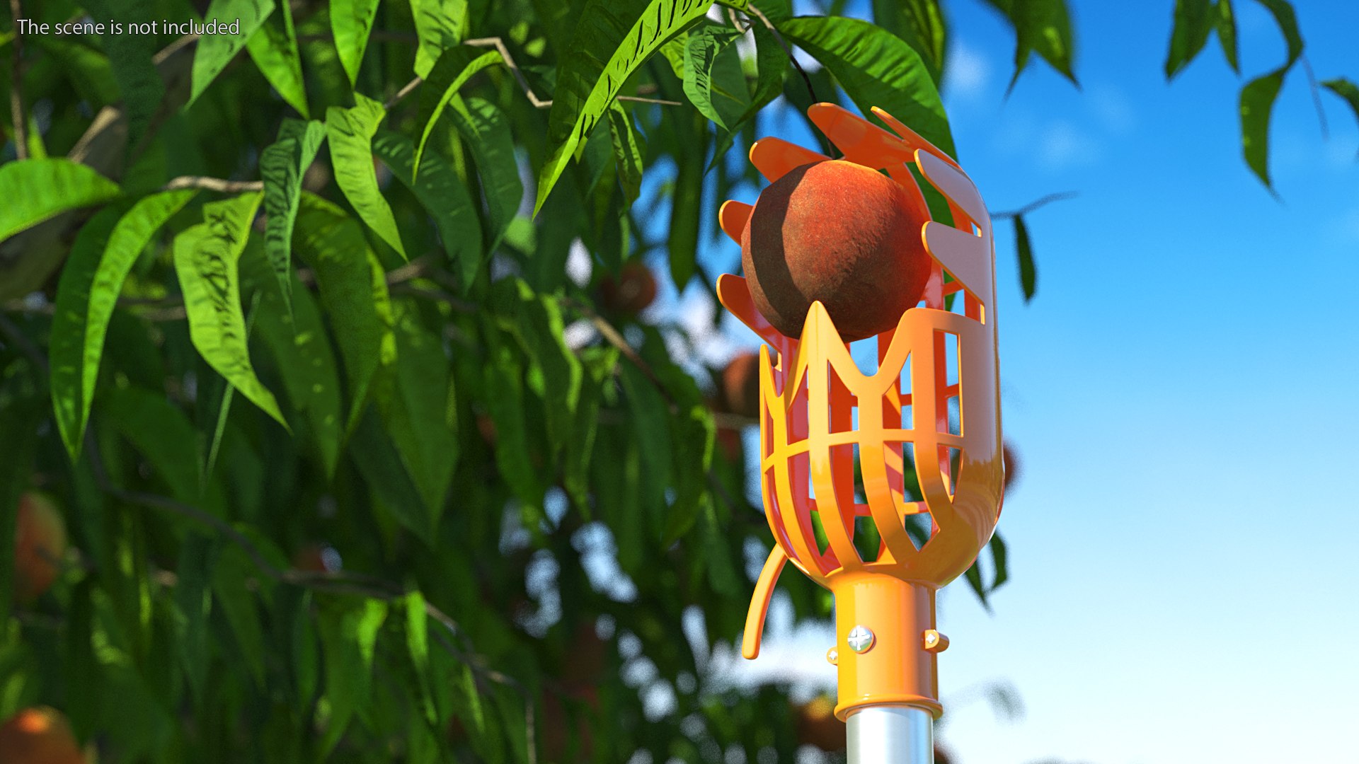 Fruit Picker Tools Collection 3D Model - TurboSquid 2194949