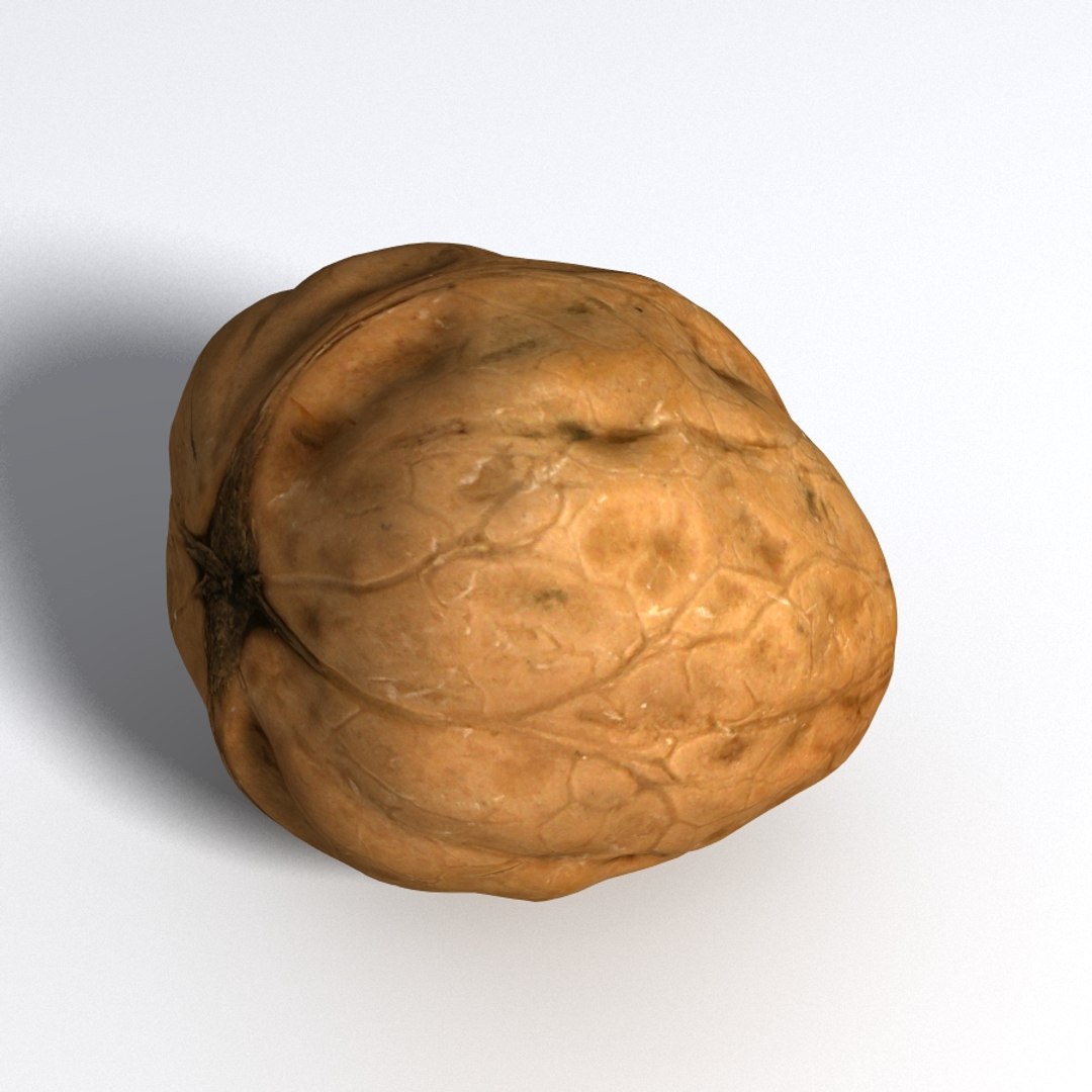 3D Walnut Nut - TurboSquid 1260640