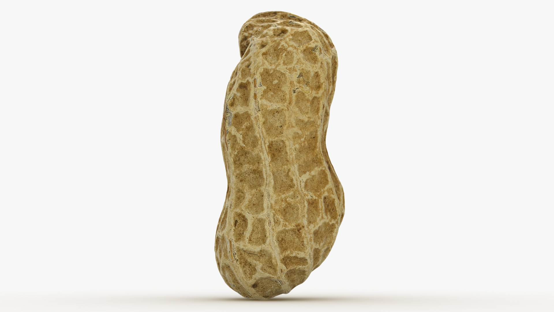 Peanut And Peanut Shell Collection Model - TurboSquid 2313088