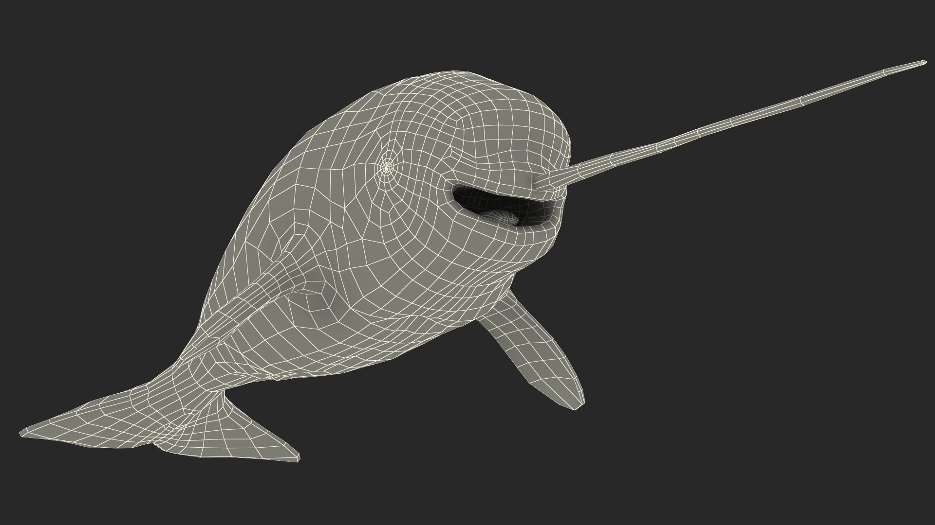 3D narwhal toothed whale model - TurboSquid 1486309