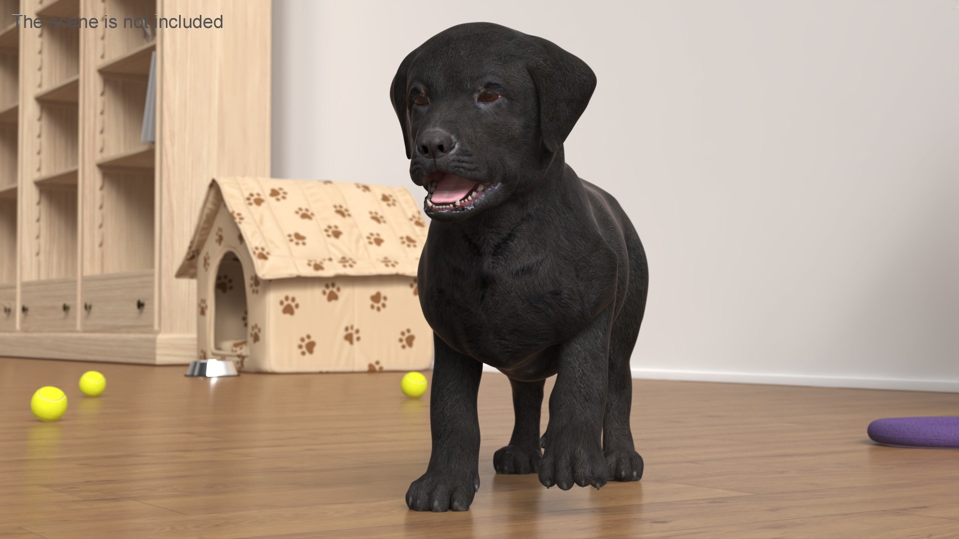 Labrador Puppy Leisurely Walk Animated Rigged 3D - TurboSquid 2411078