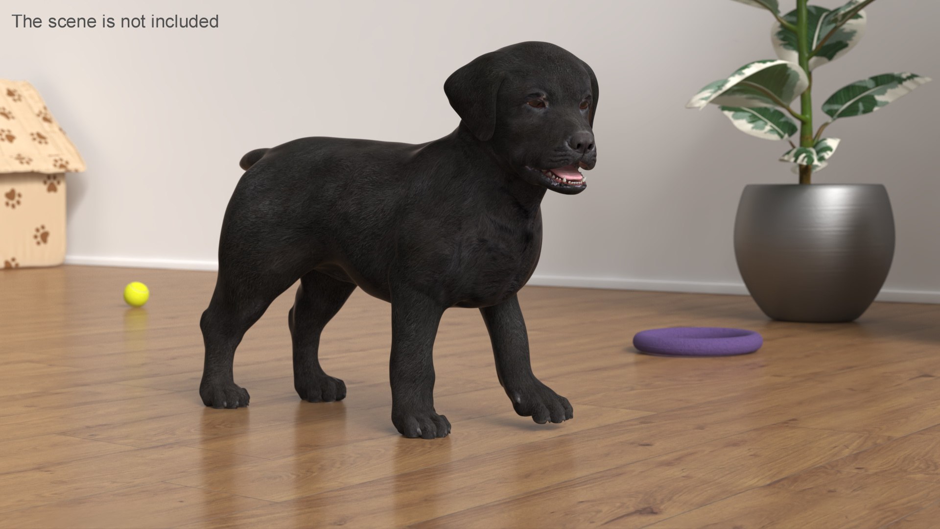 Labrador Puppy Leisurely Walk Animated Rigged 3D - TurboSquid 2411078