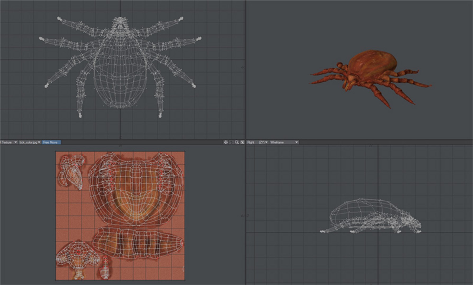 3d Tick