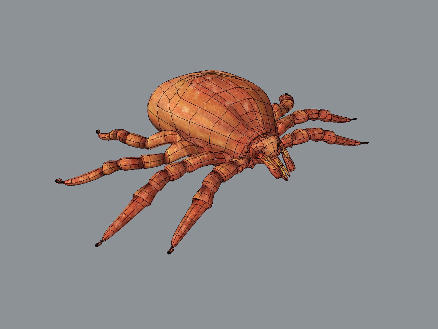 3d Tick