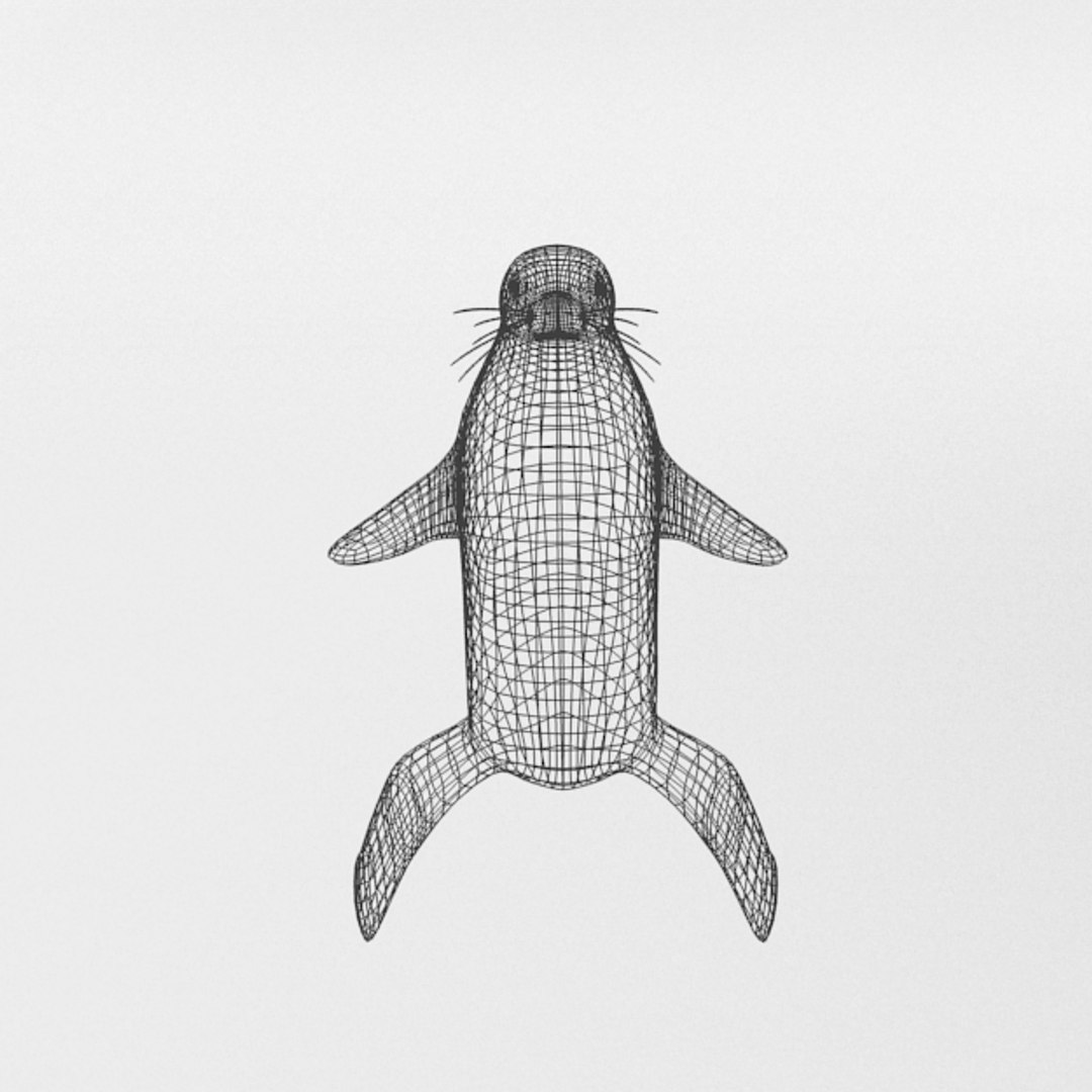 Seal Model - TurboSquid 1316809