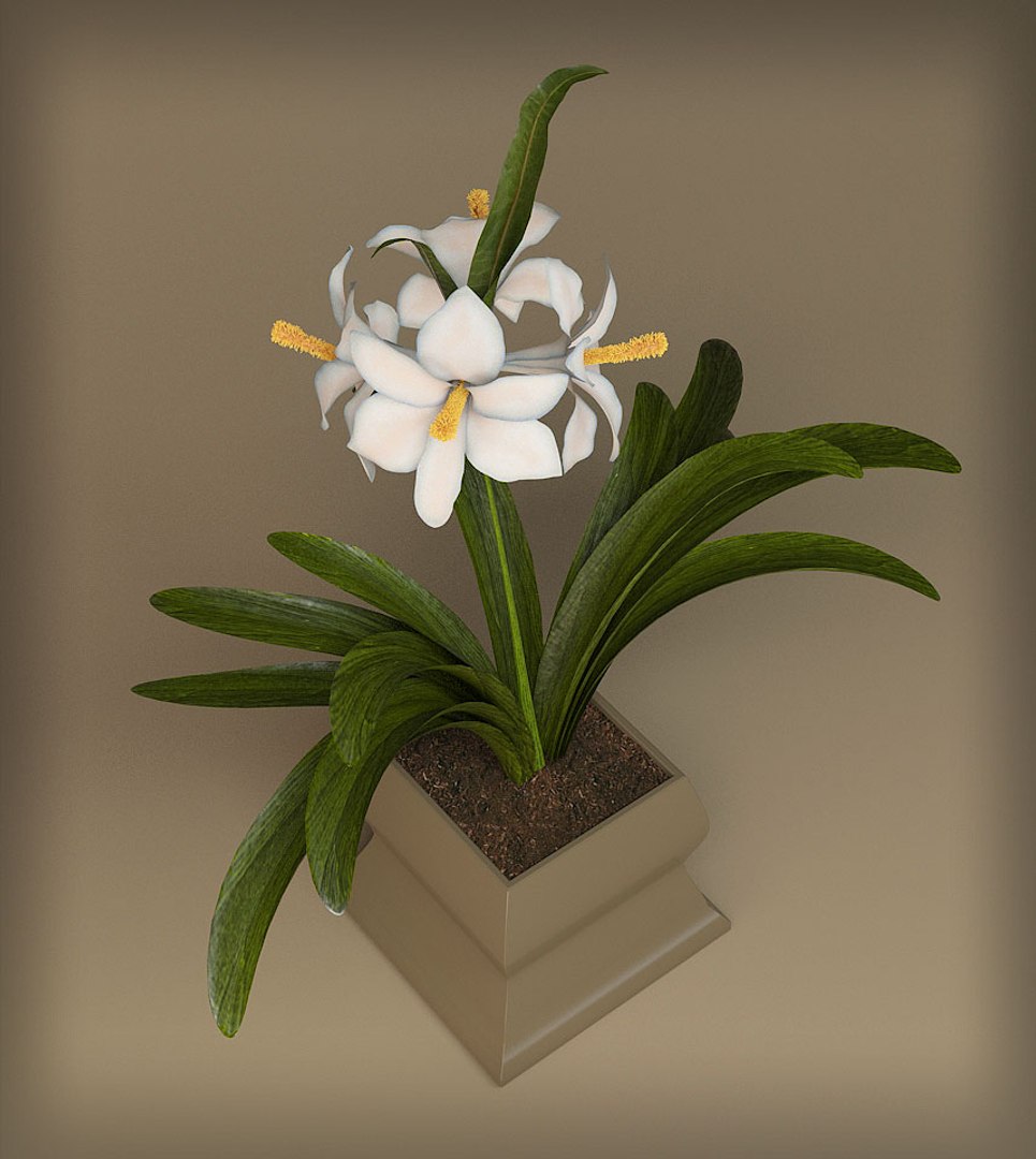 3ds Max Flower