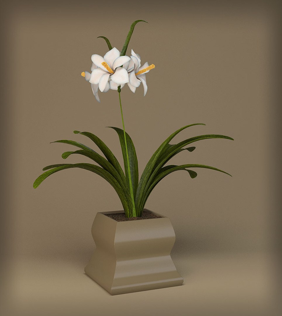 3ds Max Flower