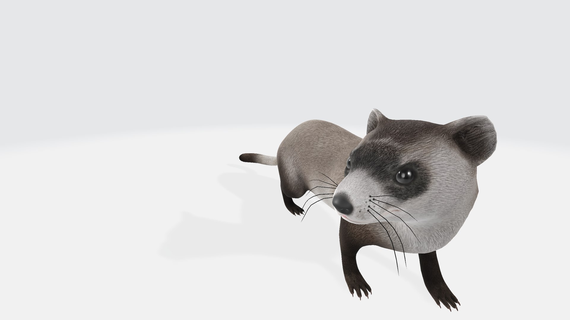 3D Weasel - TurboSquid 2301914