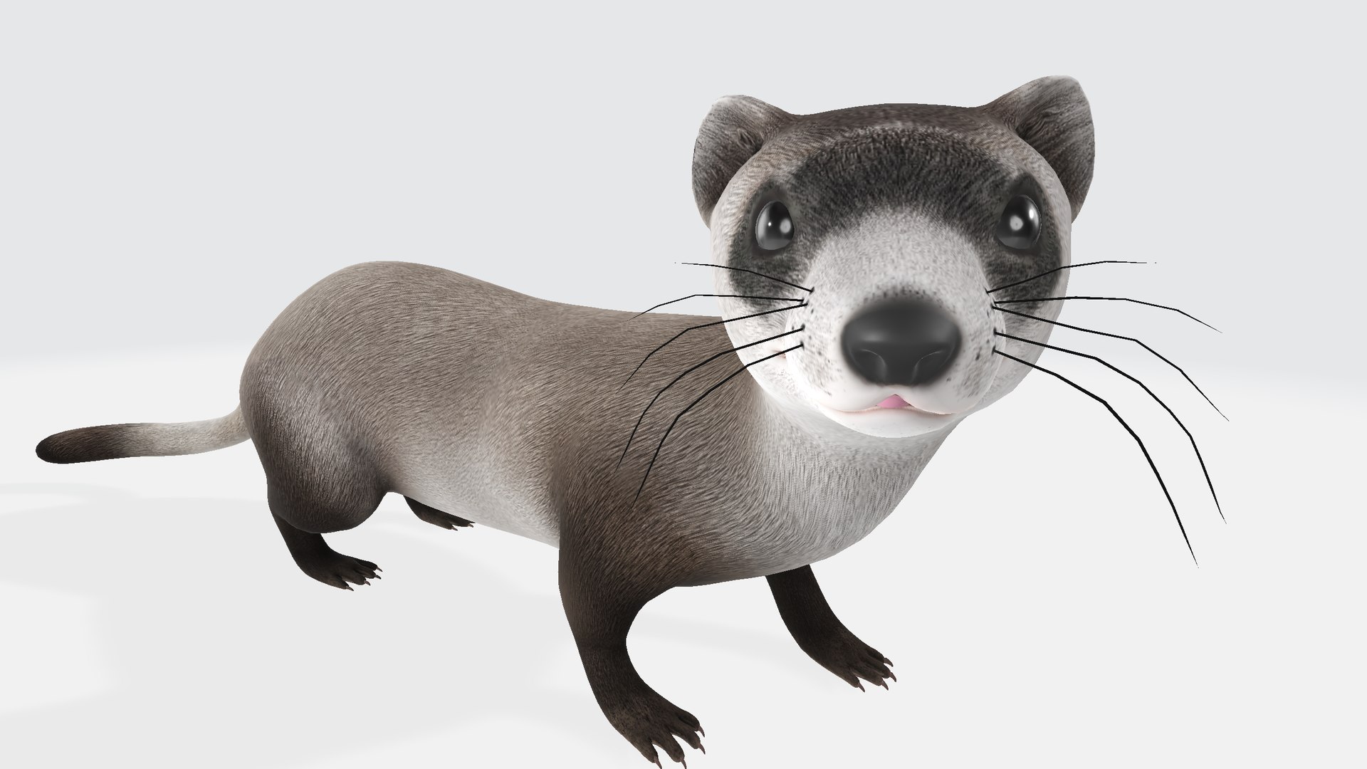 3D Weasel - TurboSquid 2301914