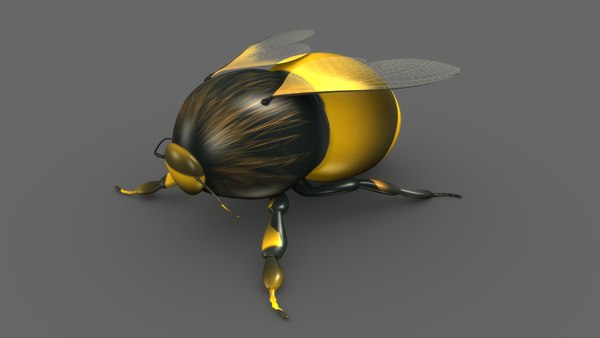 Bumble bees 3D - TurboSquid 1792341