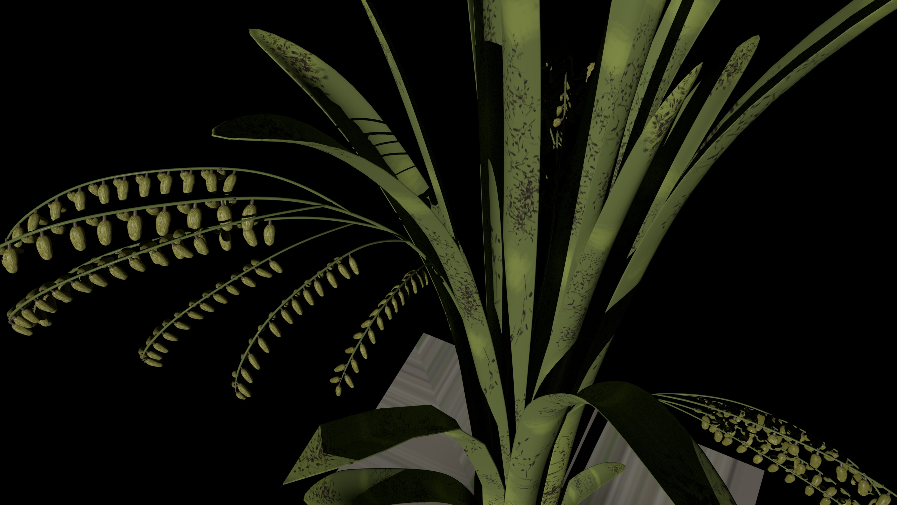 3D Rice Plant - TurboSquid 1733224