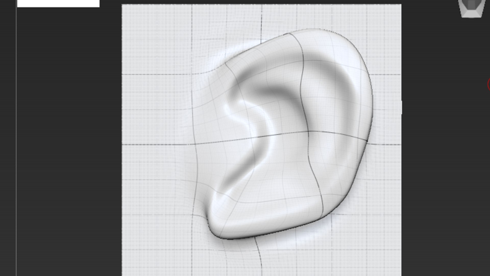 Stylized Ears Brushes 3D Model - TurboSquid 2379626