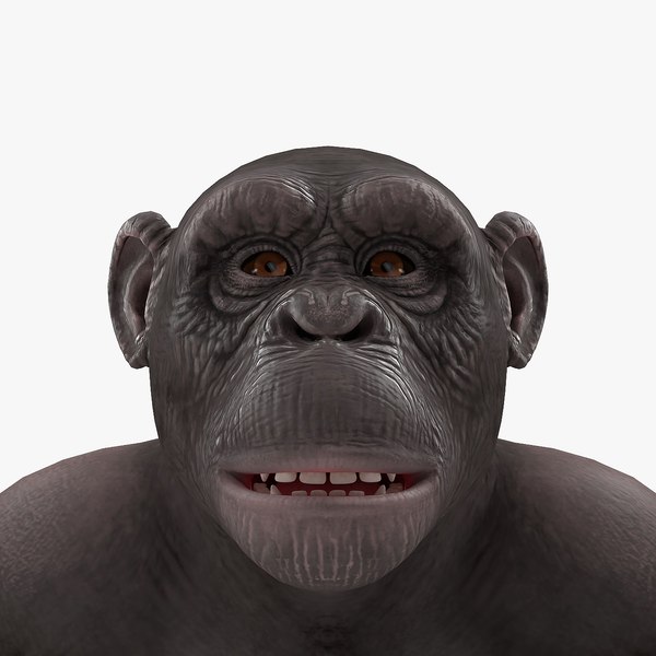 Chimpanzee 3D Models for Download | TurboSquid