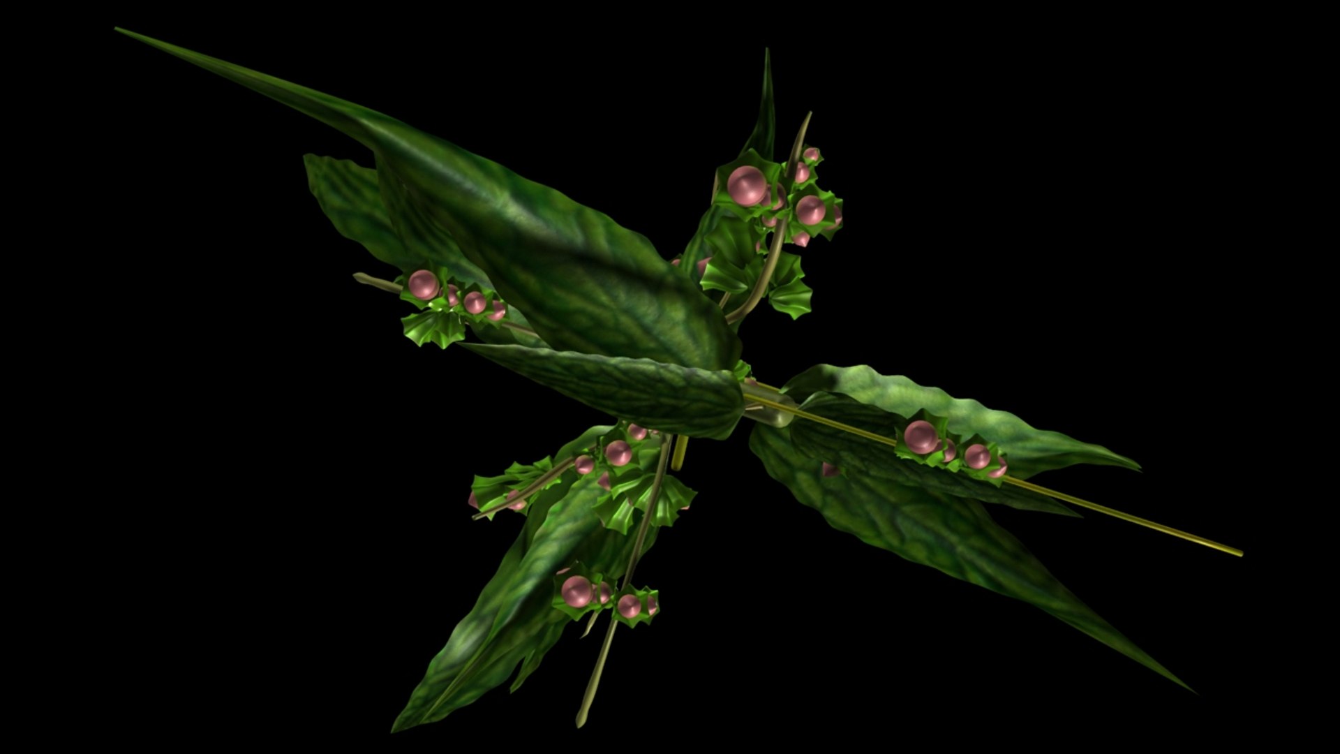 3d Cuscuta Parasitic Plants Model