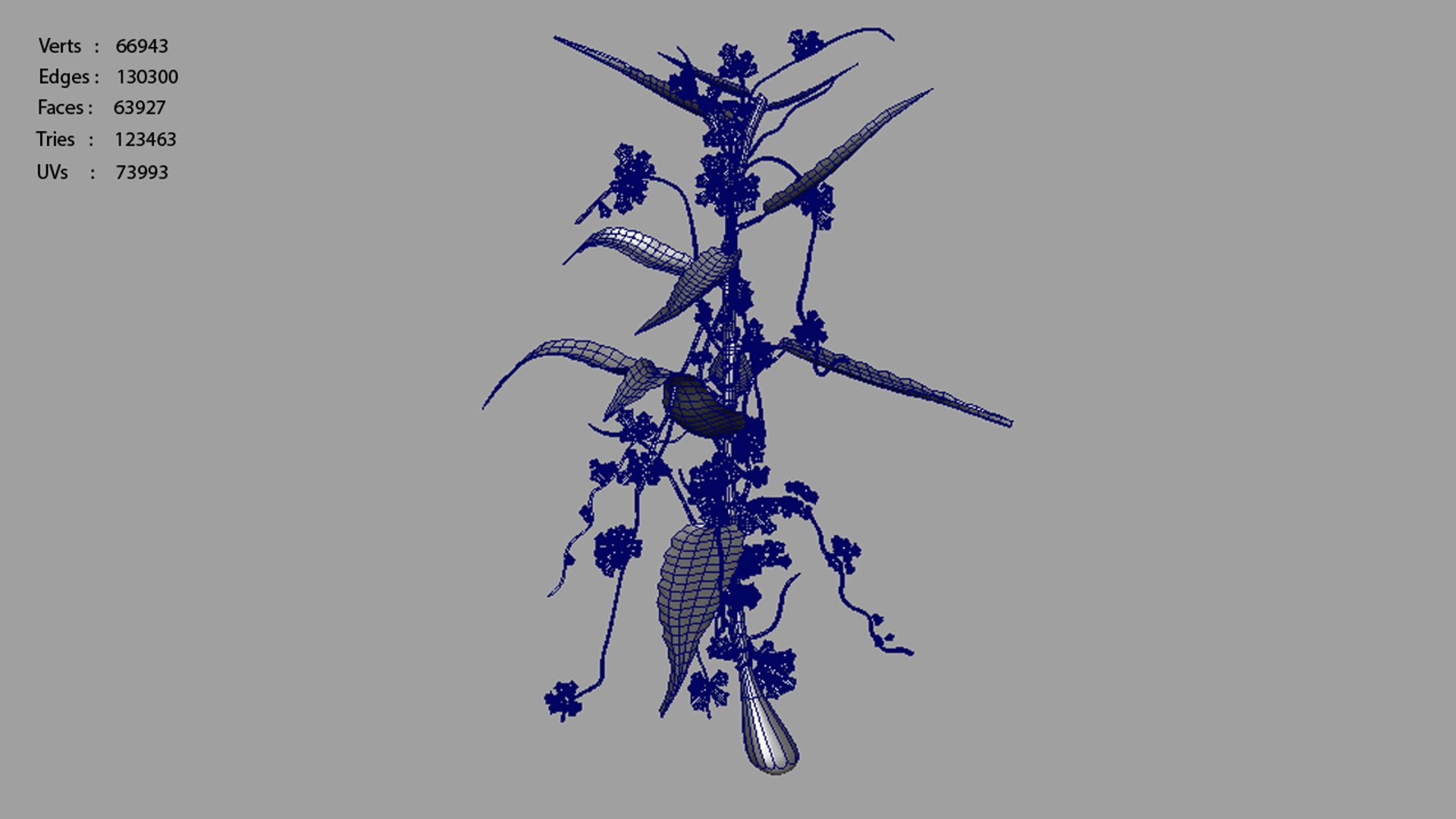 3d Cuscuta Parasitic Plants Model