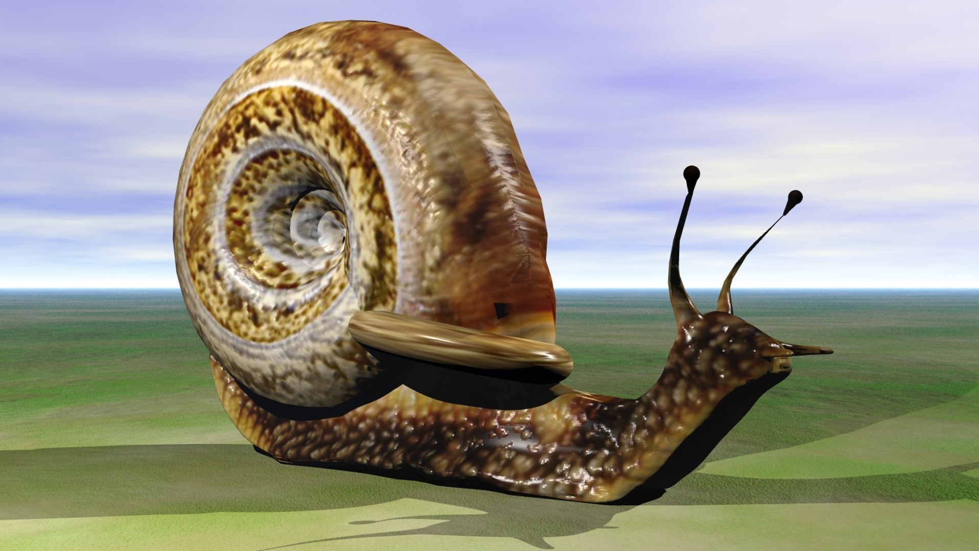 3d snail model