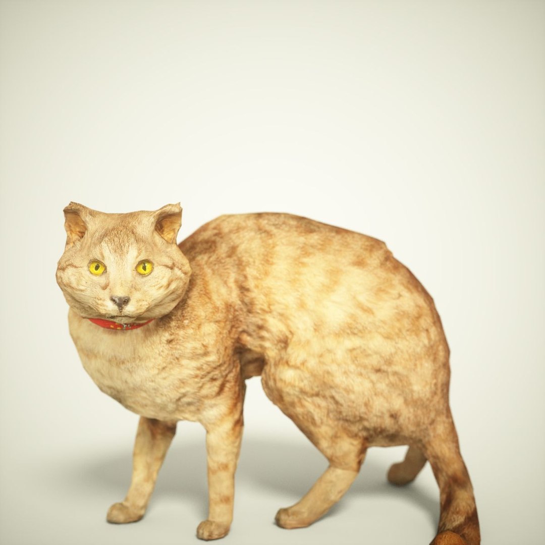 3D Model Animal Digital Photogrammetry - TurboSquid 1163020