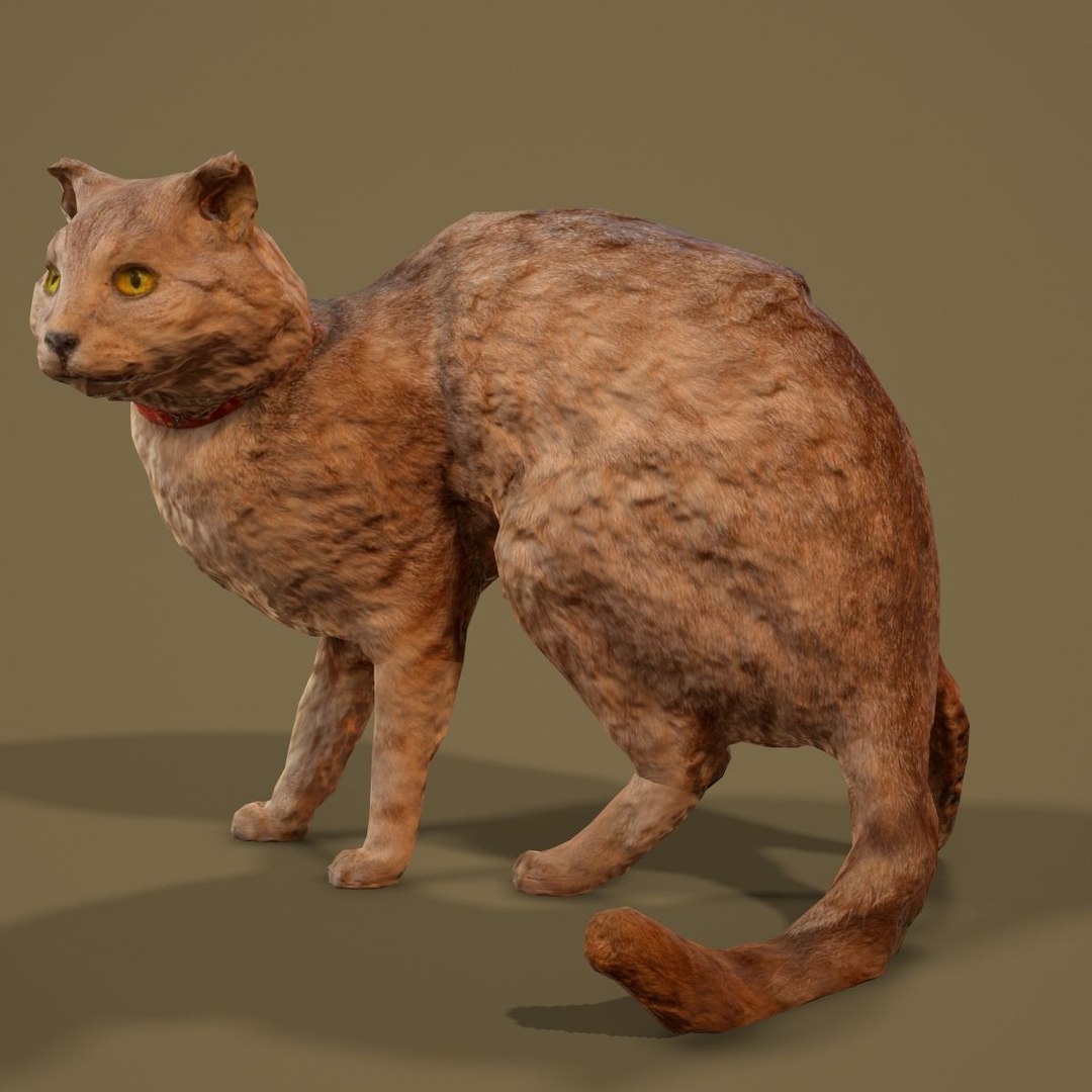 3D Model Animal Digital Photogrammetry - TurboSquid 1163020