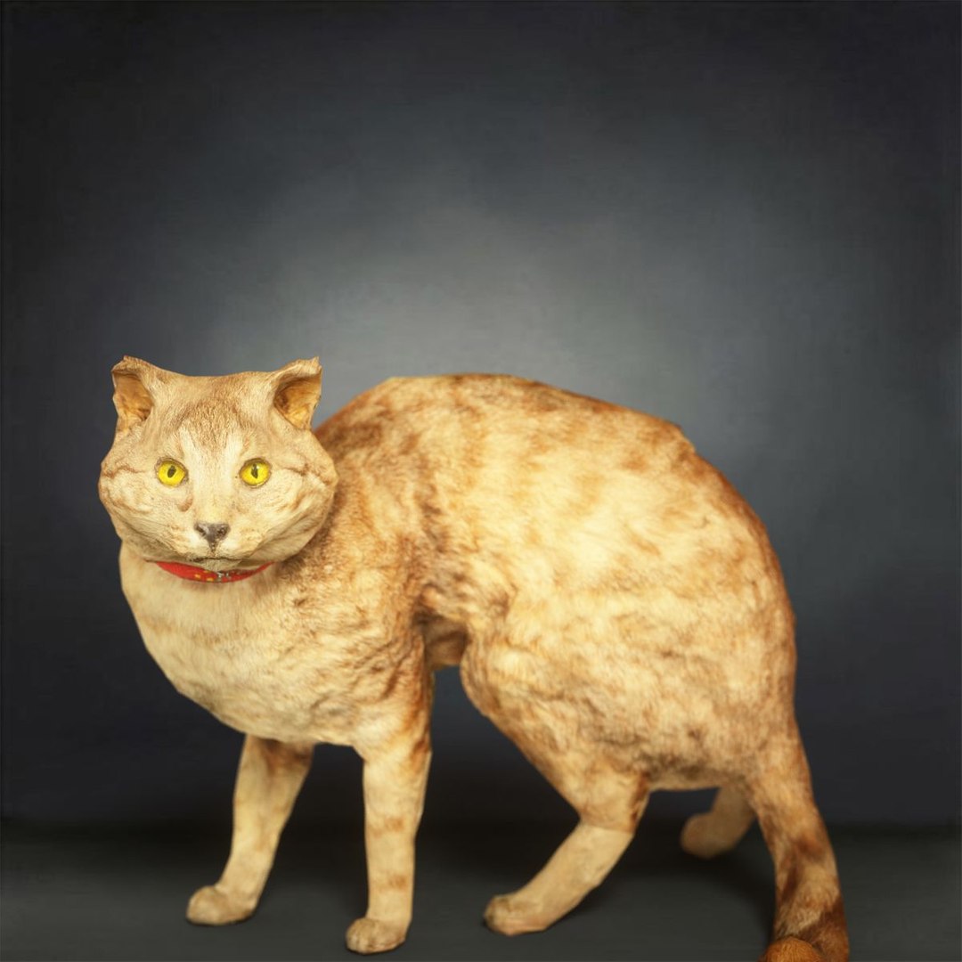 3D Model Animal Digital Photogrammetry - TurboSquid 1163020